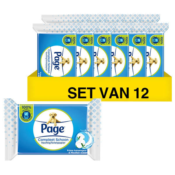 Aanbieding: Page Compleet Schoon Vochtig Toilet (12 stuks - 456 doekjes ...